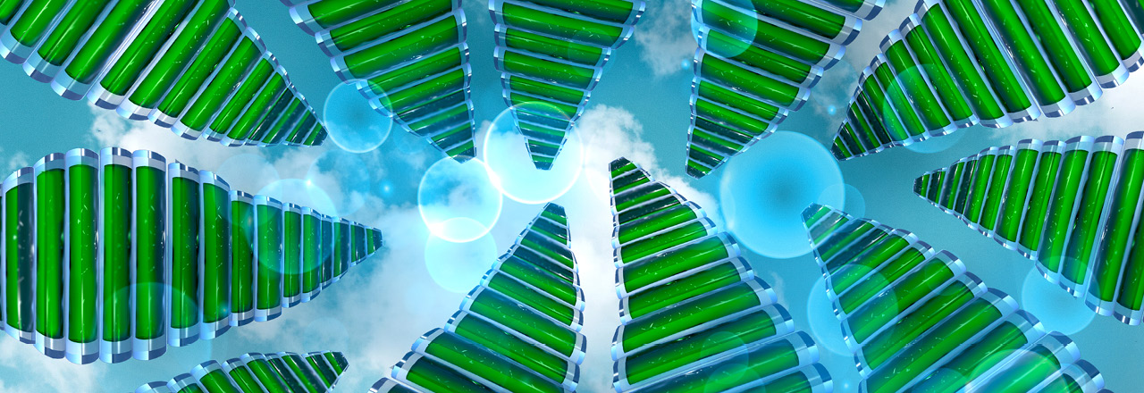 3-4 June 2019: Conference Biological Solutions for the Global CO₂ ...